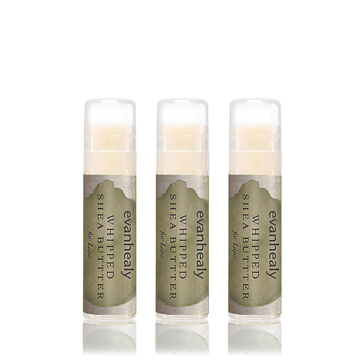 evanhealy Whipped Shea Butter for Lips (3 Pack) | Organic Red Raspberry Seed Oil, Beeswax, & Argan Oil | Moisturizing Lip Balm Chapstick