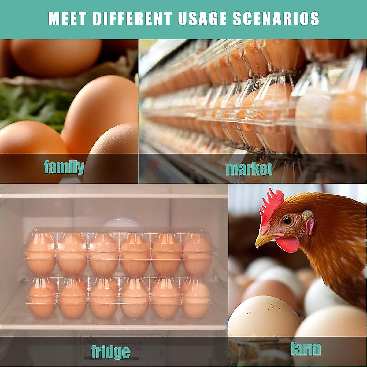 SINLUCESCE 60 Packs Egg Cartons Cheap Bulk，Plastic Egg Carton for 12 Eggs， Clear Egg Carton 2 * 6 Grids，Perfect for Refrigerator Chicken Farm Markets Commercial Business Market Display, Large