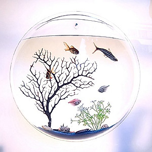 11.6 Inch 4.68L Acrylic Fish Bowl Wall Hanging Aquarium Tank Aquatic Pet Supplies Pet Products Wall Mount Fish Tank (Transparent)