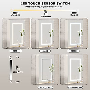 Loye Bathroom Medicine Cabinet with Lights, Aluminum Mirror Lighted Storage Cabinet, LED Medicine Cabinet with Dimmer for Bathroom (20 inches x 28 inches ), White