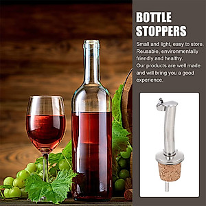 DOITOOL 10 Pcs Wine Bottle Pourers Stainless Steel Liquor Pour Spout Wine Bottle Stoppers Pourers Olive Oil Bottle Tapered Spout Cork Plug Liquid Dispenser Silver
