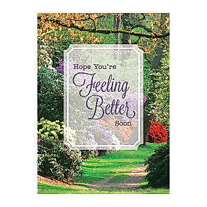 Paper Craft IG98641-RE Religious Get Well Soon Card Set with Envelopes, 12 Cards, 4.75'' W x 6.5'' H, Floral and Landscape Photography