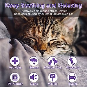 2 Pack Cat Calming Collar for Cats Pheromone Collar Efficient Relieve Reduce Anxiety Stress Pheromones, Calm Relaxing Comfortable Collars, Adjustable Breakaway Design (Purple)