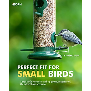 iBorn Metal Bird Feeders 6 Ports Hanging Wild Bird Seed Feeder for Mix Seed Blends, Niger Seed Feeder, Sunflower Heart, Birdbath, Heavy Duty All Metal Green Finishing 14 Inch 6Port