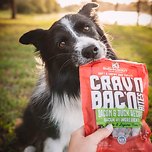 Stella & Chewy's Crav'n Bac'n Dog Treats Bacon & Duck Recipe, 8.25 oz. Bag