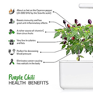 Click and Grow Smart Garden Purple Chili Plant Pods, 3-Pack