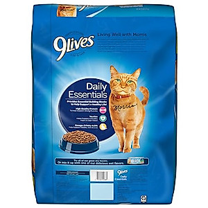 Nutrish 9Lives Daily Essentials Dry Cat Food, 20 Pound Bag