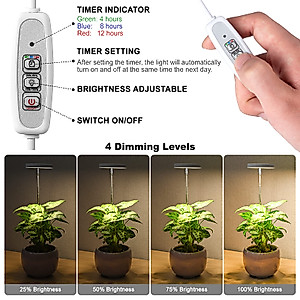 LORDEM Grow Light, Full Spectrum LED Plant Light for Indoor Plants, Height Adjustable Growing Lamp with Auto On/Off Timer 4/8/12H, 4 Dimmable Brightness, Ideal for Small Plants, 3 Packs