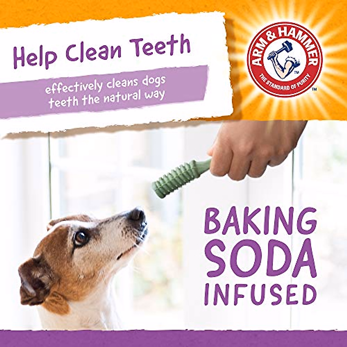 Arm & Hammer For Pets Brushies Dental Treats for Dogs | Dog Dental Chews with Baking Soda Fight Bad Breath, Plaque & Tartar without Brushing | Mint Flavor, 8 Pcs