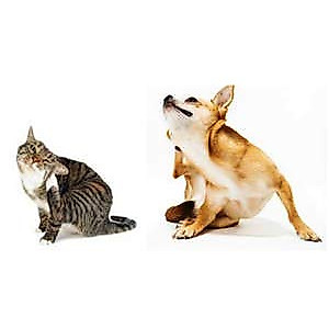 Skin and Coat Supplement for Dogs - PET Allergy Relief for Dogs and Cats, Natural Advanced Formula, Immune Booster - Allergy Skin Health for Dogs, by PET Supplements - 3 Bottles (225 Tablets)