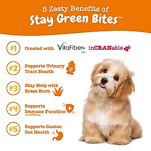 Zesty Paws Stay Green Bites for Dogs - Grass Burn Soft Chews for Lawn Spots Caused by Dog Urine - with Cranberry for Urinary Tract & Bladder - Beef - 90 Count