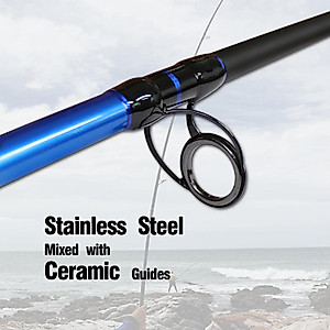 Fiblink Surf Spinning Fishing Rod Graphite Travel Fishing Rod (10 Feet - 2Pcs (Blue))