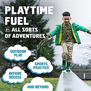 CLIF Kid Zbar - Variety Pack - Soft Baked Whole Grain Snack Bars - USDA Organic - Non-GMO - Plant-Based - 1.27 oz. (18 Count)