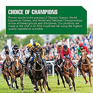 Ramard Total Calm & Focus Horse Supplement |Magnesium & Calming Supplement for Horse Training & Performance |Mental Alertness w/o Drowsiness |No Herbs or Banned Substances - Horse Show Supplies - 1 pk