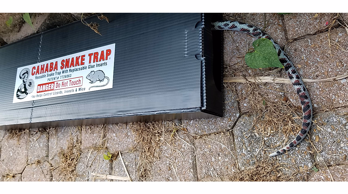 Snake Trap Large, (Foldable, Reusable 32"x10"x 3") with (1) Catch ...