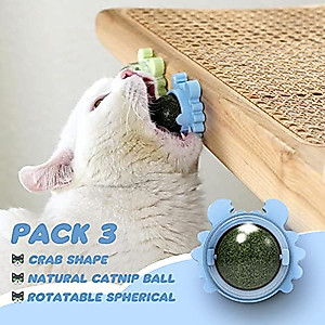 3 Pack Catnip Ball Toys, Squash Edible Cat nips Organic Balls, Catnip Ball Wall Mount, Crab Avocado Catnip Cat Toy for Cats Kittens Lick, Teeth Cleaning, Natural Effective Engaging Play (Blue)