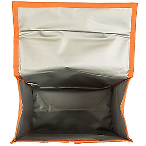 Bioworld NASA orange insulated tote Lunch Bag
