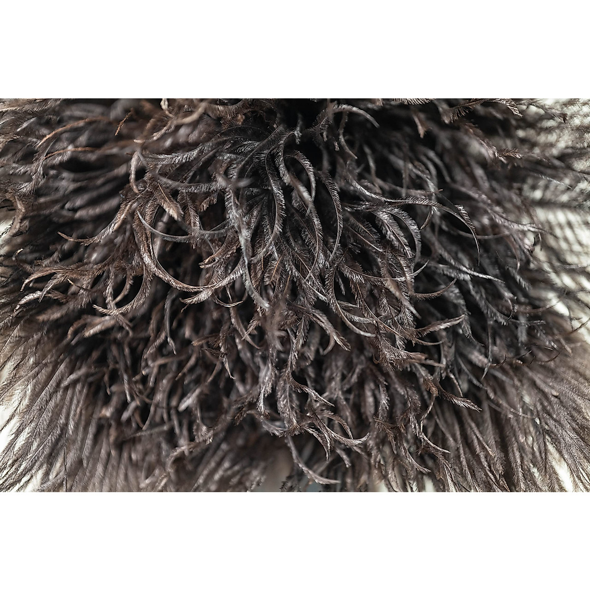ROYAL DUSTER Black Ostrich Feather Duster (14")