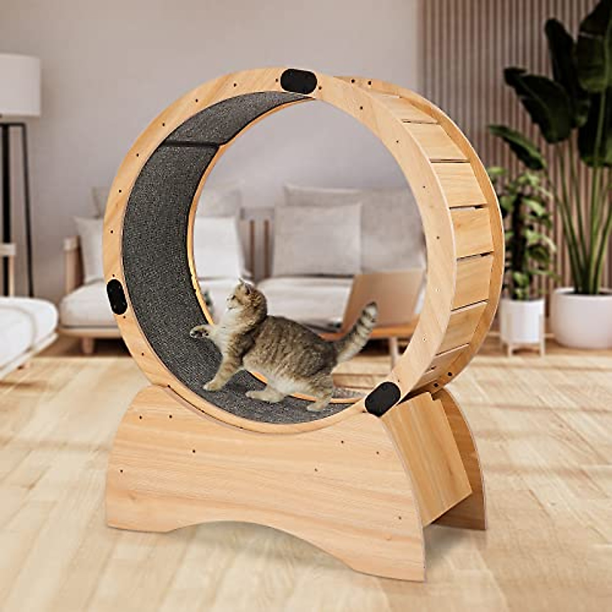 Hooseng Cat Exercise Wheel, Cat Treadmill with Carpeted Runway and Noiseless Roller, Cat Running Wheel for Pet Loss Weight and Daily Exercise