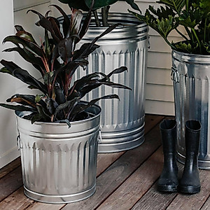 Behrens Galvanized Steel Trash Can, 31-Gallon