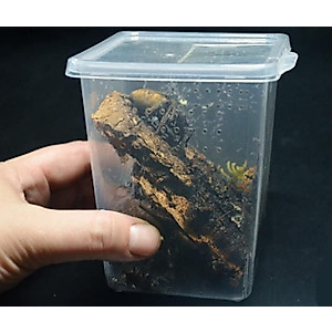 8pcs Small Reptile breeding Box Spider Terrarium freeding Box for arboreal Tarantula Scorpion Sling Lizards Mantis Jumping Spider Snail Insect Isopods (4high+4small)