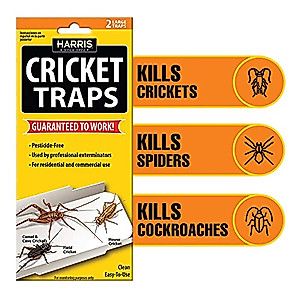 Harris Natural Cricket Glue Traps with Irresistible Lure (2-Pack)