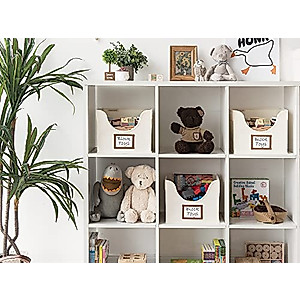 StorageWorks Pantry Storage Bins & StorageWorks Closet Storage Bins