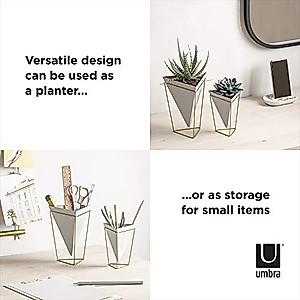 Umbra - 1004372-524 Trigg Desktop Planter Vase & Geometric Container-for Succulent, Air, Mini Cactus, Faux Plants and More, Desk, White/Brass