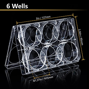 4E's USA 6 Well Cell Culture Plate with Lid, Tissue Culture Treated Plate, Sterile, Individual Packing, Pack of 5 Plates