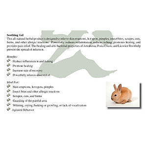 JADIENCE Dog, Horse & Cat Skin Soothing Gel: Homeopathic Treatment for Hotspots, Rashes & Sores | All Natural Pet Wound & Lesion Care | Provides Relief for Itching, Discomfort & Pain | EnlightAPet