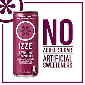 IZZE Blackberry Juice, No Sugar Added, 8.4 oz., 24/Carton