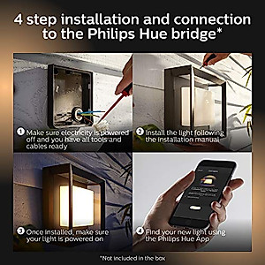 Philips Hue Econic Outdoor White & Color Wall & Ceiling Light Fixture 2-Pack (Hue Hub Required, Compatible with Alexa, Apple Homekit & Google Assistant)