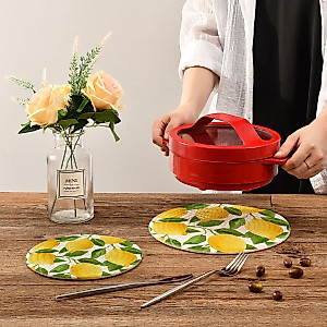 ALAZA Tree Lemon Fruit Yellow Pot Holders Trivets Set 2 Pcs Trivets Cotton Potholders Coasters Hot Pads Hot Mats for Cooking Kitchen