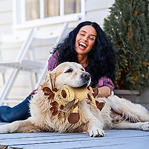 BUYPOW 5pack Dog Toys for Large Dog - Squeaky Medium & Small Dog Toys (Elk)