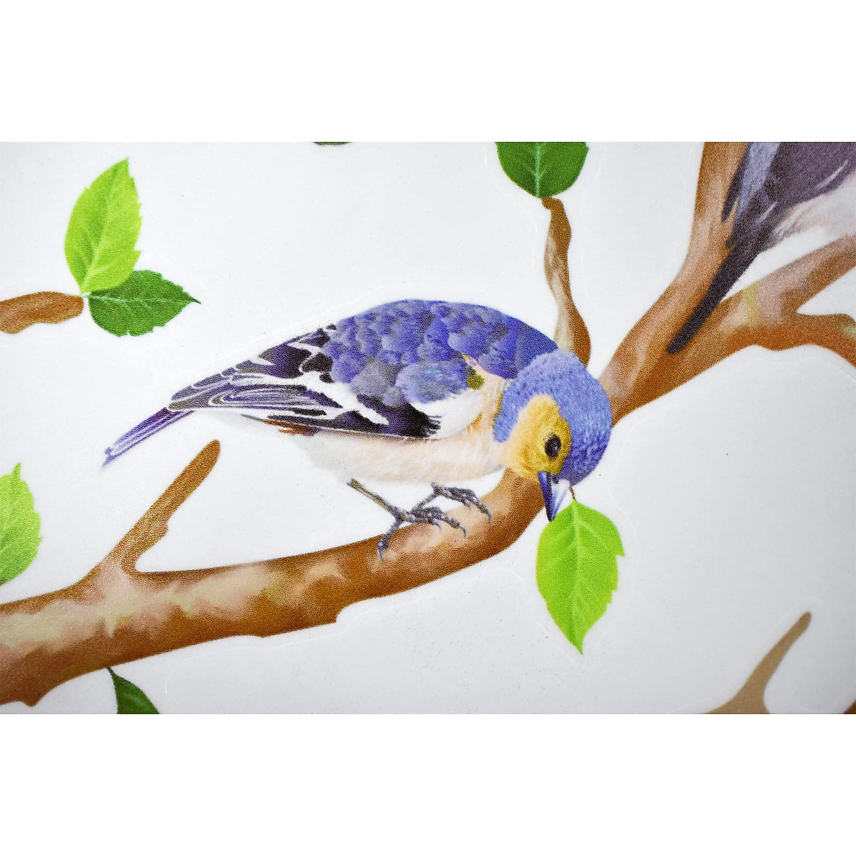 Maydahui Little Birds on Tree Branches Wall Decal Vinyl Wall Sticker (34 x 34 Inch) Removable Peel and Stick Art Murals Decor for Bedroom Offices Classroom Living Room Background