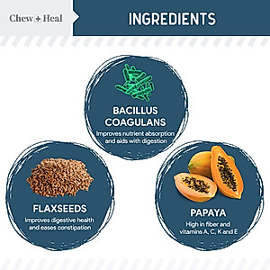 Digestive Enzymes with Probiotics for Dogs - 120 Soft Chews - Supports Healthy Digestive Tract, Helps Nutrient Absorption, Food Digestion, and Health Maintenance