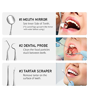 Plaque Remover for Teeth Portable Dental Tools Stainless Steel Dental Picks for Teeth Cleaning Oral Care for Adults Kids and Pets Tartar Remover for Teeth with Case for Daily Use