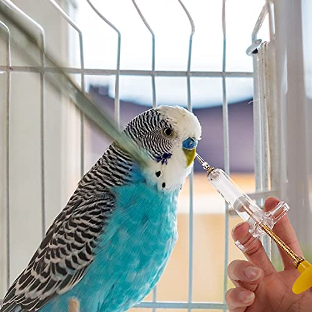 POPETPOP Birds Hand Feeding Syringe Bird Feeding Syringe, Birds Feeding Tubes for Small Birds Parrot Hand Feeding Syringe (2pcs Feed / 6 Pcs Curved Gavage Tubes) Parrot Feeding Syringe