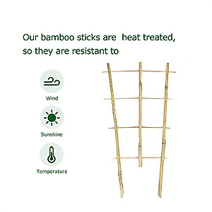 Cambaverd 3 Pack Min Bamboo Trellis 16 in Fan -Shaped Plant Support Trellis with Twist Ties for Indoor Mini Climbing Plants Hoya Potted Plants House Plants Vine Ivy