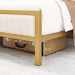 HIFIT Queen Size Bed Frame, Queen Bed Frame with Headboard, Heavy Duty Metal Foundation, Upholstered Bed Frame with Velvet Tufted Headboard, Wood Slat Support, No Box Spring Needed, Gold & Ivory White