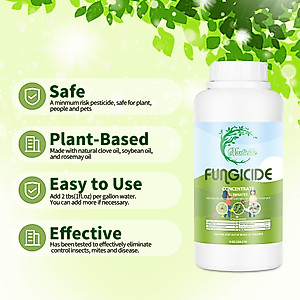 Nasticide Fungicide Made of Plant extracts, Natural Fungicide for Plants, Pesticide Concentrate Spray, Organic Disease Control Fungicide for Lawns, 8oz