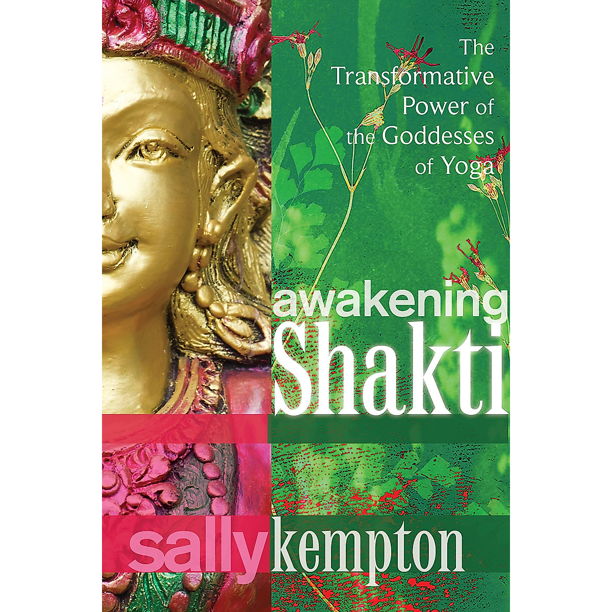 Awakening Shakti: The Transformative Power of the Goddesses of Yoga