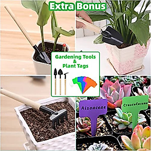 Macrame Plant Hangers - 6 Pack Indoor Hanging Plant Holder - Different Tiers Handmade Macromay Cotton Rope Hanging Planters Set, for Indoor Outdoor Boho & Home Decor