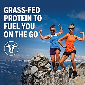 Orgain Organic Nutritional Protein Shake, Strawberries & Cream - 16g Grass Fed Whey Protein, Meal Replacement, 20 Vitamins & Minerals, Fruits & Vegetables, Gluten Free, Non-GMO, 11 Fl Oz (12 Pack)