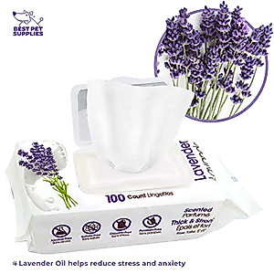 Best Pet Supplies 8" x 9" Pet Grooming Wipes for Dogs & Cats, 100 Pack, Plant-Based Deodorizer for Coats & Dry, Itchy, or Sensitive Skin, Clean Ears, Paws, & Butt - Calming Lavender