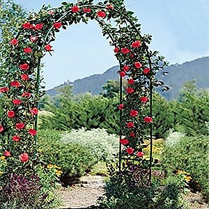 240x220cm Metal Garden Arch Arbor Trellis Durable Pergola Frame Classic Rose Flower Arches Support for Backyard Lawn Patio Courtyard Wedding Archway Decorations,with Base (Color : Green, Size : 47"