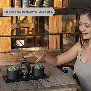 Buddha Statue & Succulent Zen Garden Set- Buddha Head Statue w/ Wooden Display Tray & Stones| Buddha Decor For Home Decor. Beautiful & Peaceful. Great Meditation Gifts.