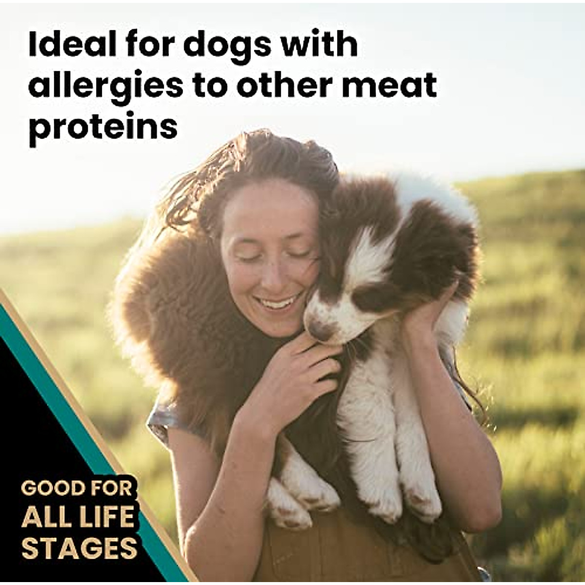 Victor Super Premium Dog Food – Select - Ocean Fish Formula – Gluten Free Dry Dog Food for All Normally Active Dogs of All Life Stages, 40lbs