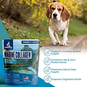 Wild Caught Marine Collagen Peptide for Dogs- Improves Gut, Skin & Coat Health, Allergies, Pet Mobility Hip & Joint Supplement Health
