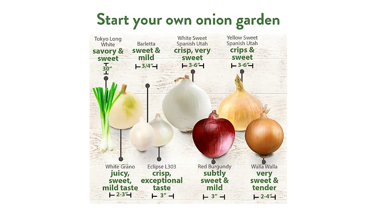 Grow 8 Varieties of Heirloom Onion Seeds for a Bountiful Garden